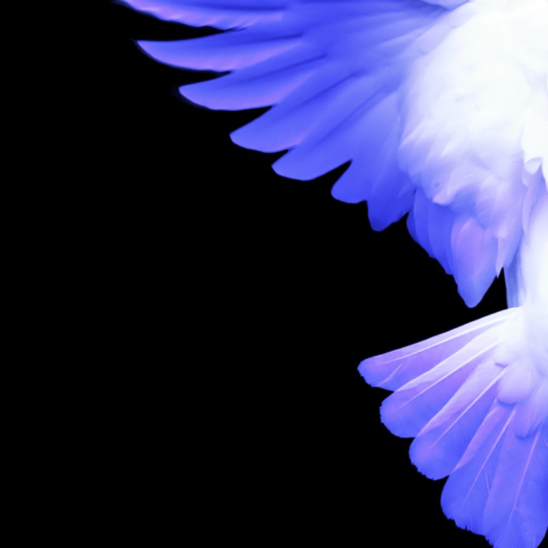 Random Hexamer Primer, 25 g – GC biotech webshop